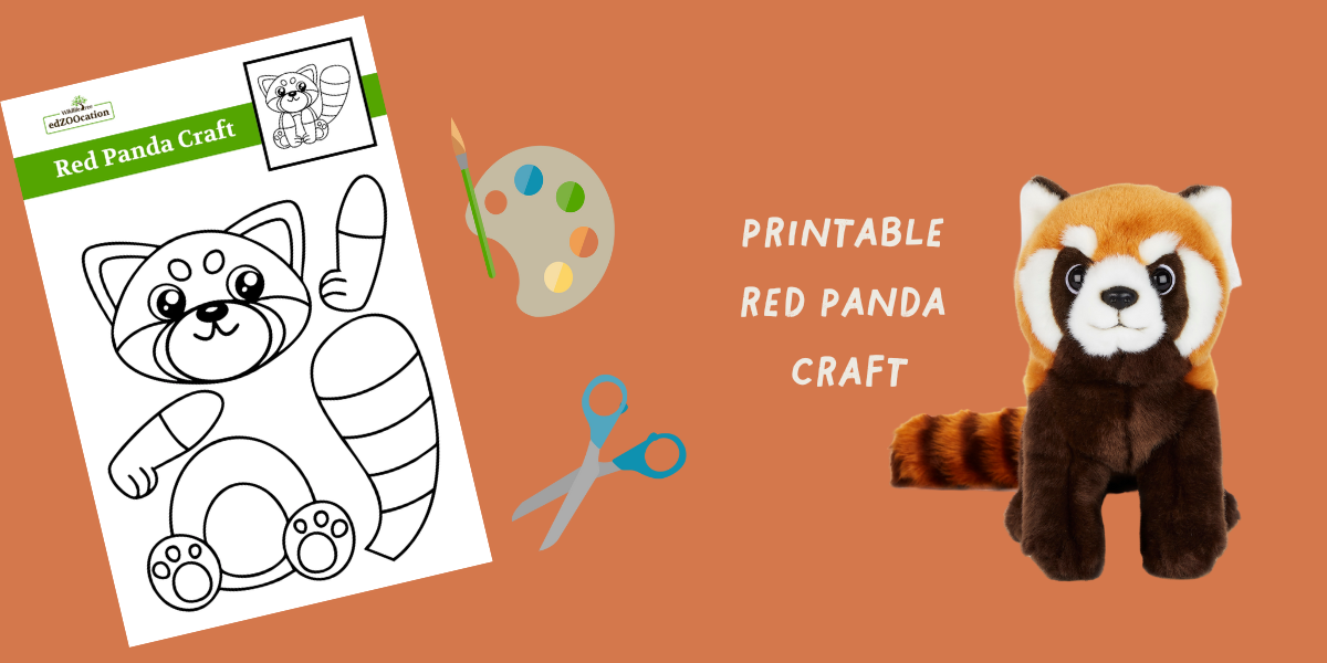 Printable Red Panda Craft – edZOOcation