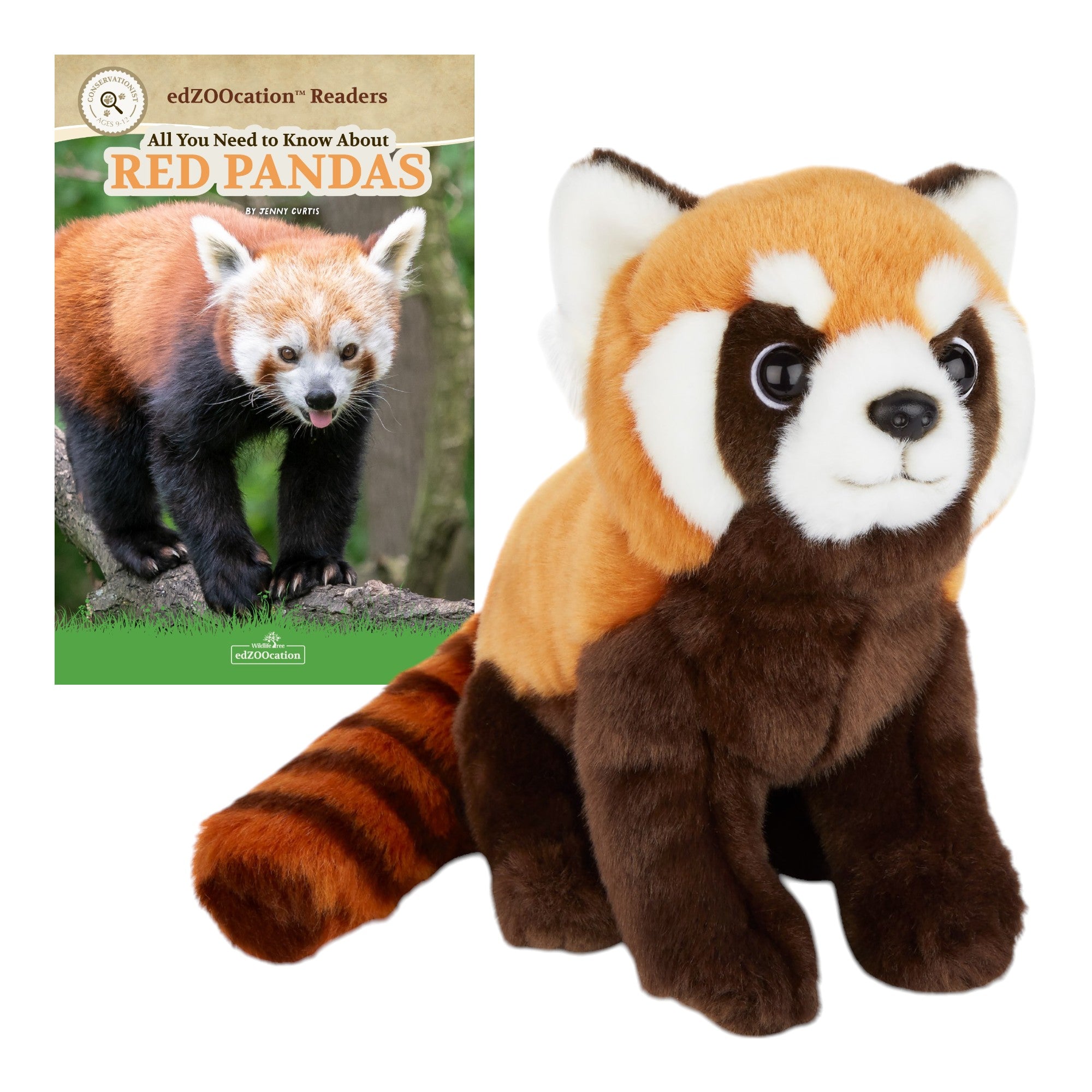 12” Plush + Conservationist Reader Book: Red Panda (Ages 9–12) – edZOOcation