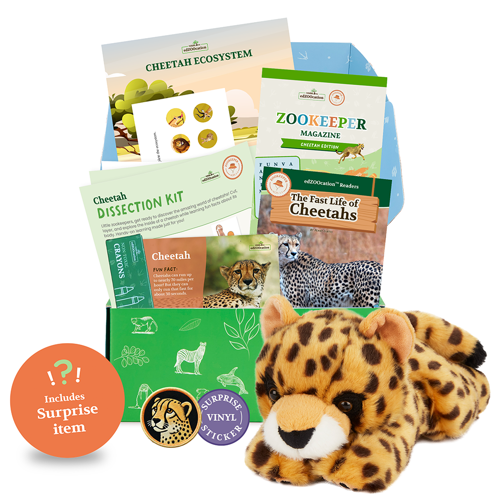 edZOOcation™ Zookeeper Box (Age 3-5) - 12 Months