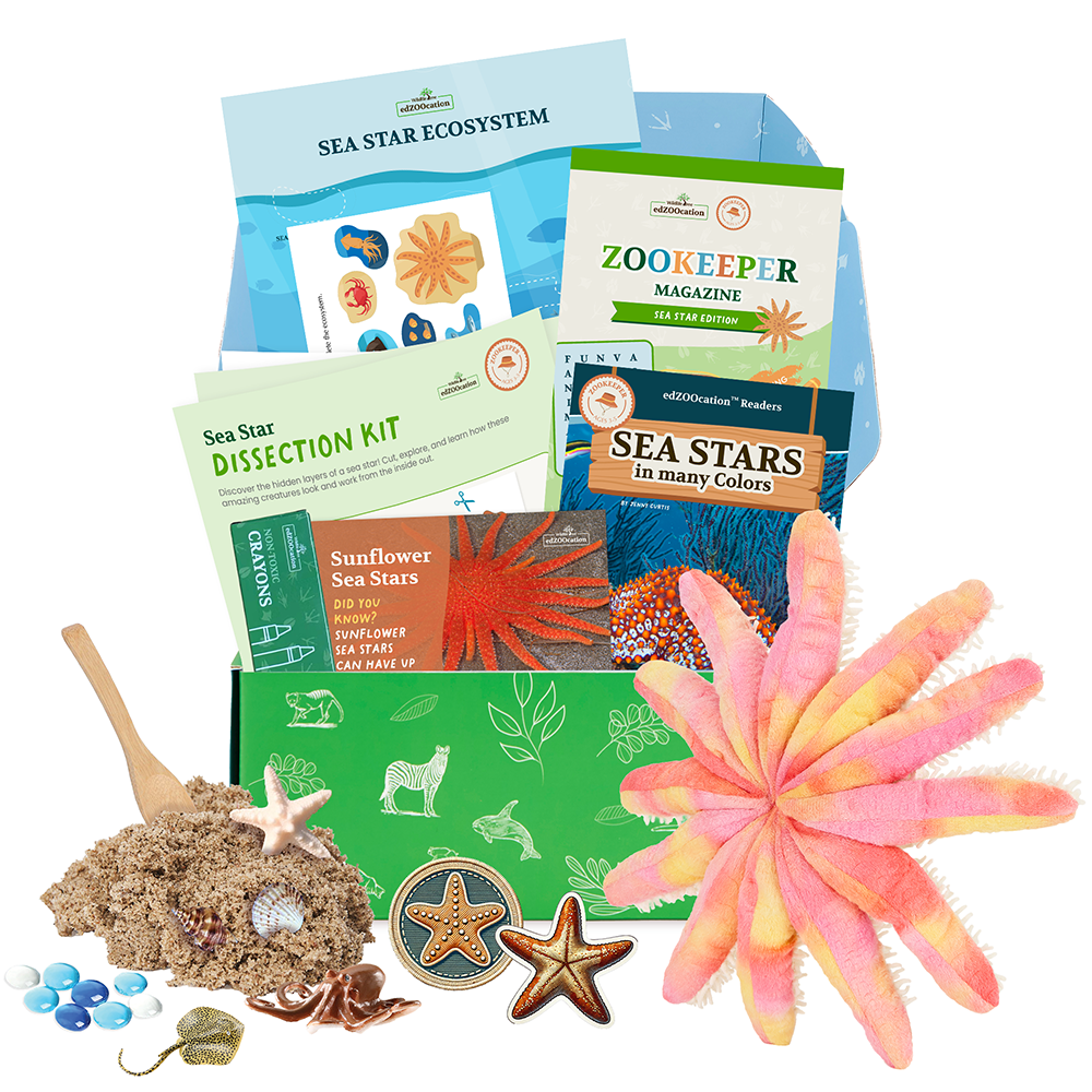 Zookeeper Boxes: Non-renewing – edZOOcation