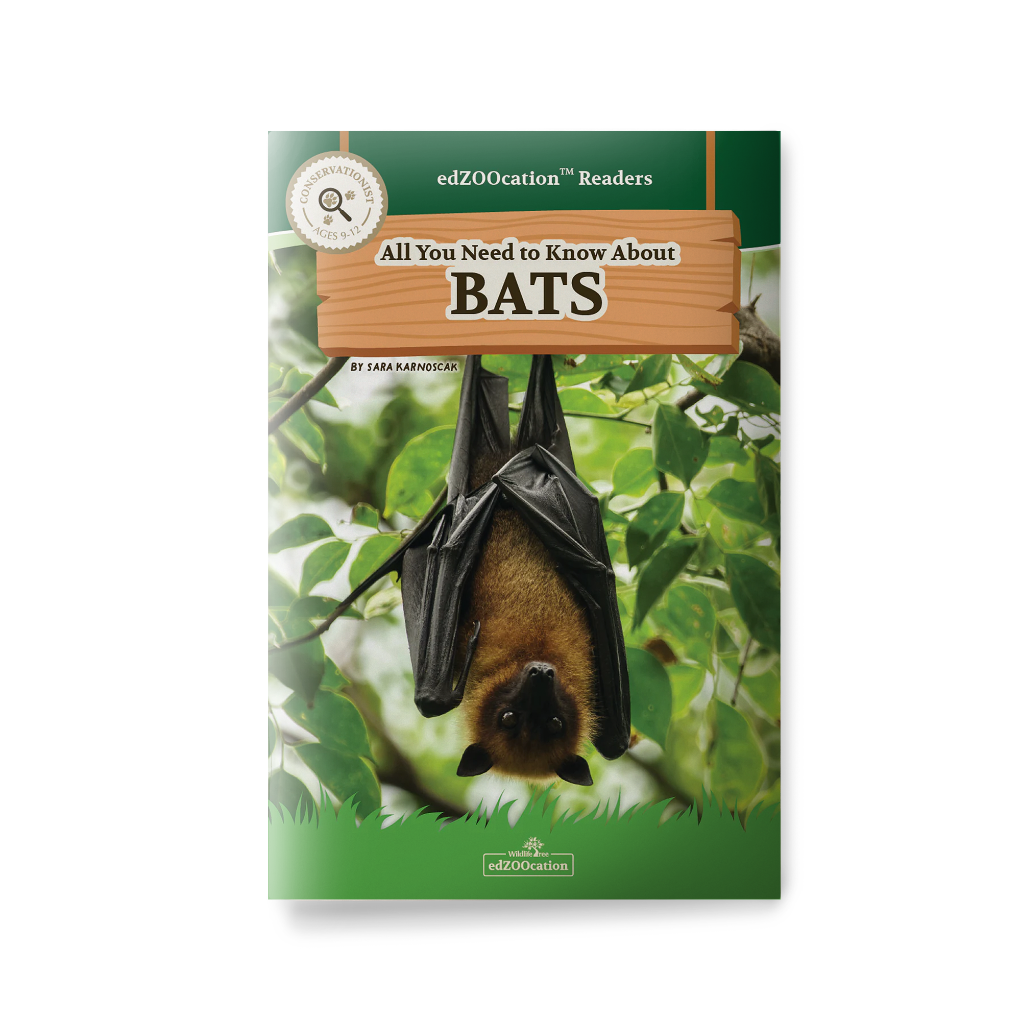 All You Want to Know About Bats edZOOcation™ Factivity Book - Paperbac