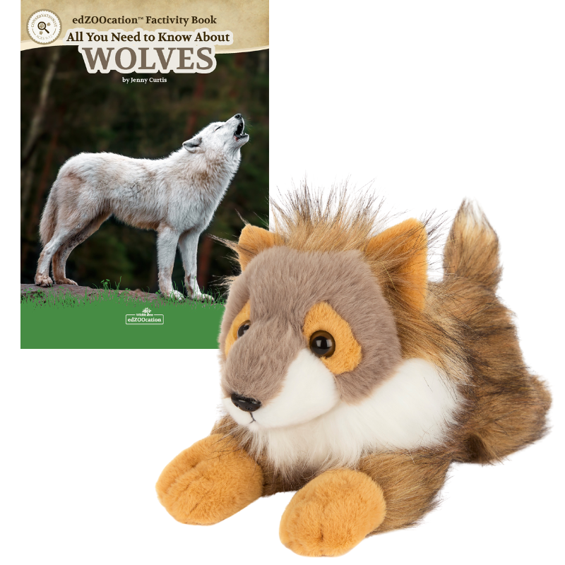 12” Plush + Conservationist Reader Book: Wolf (Ages 9–12) – edZOOcation