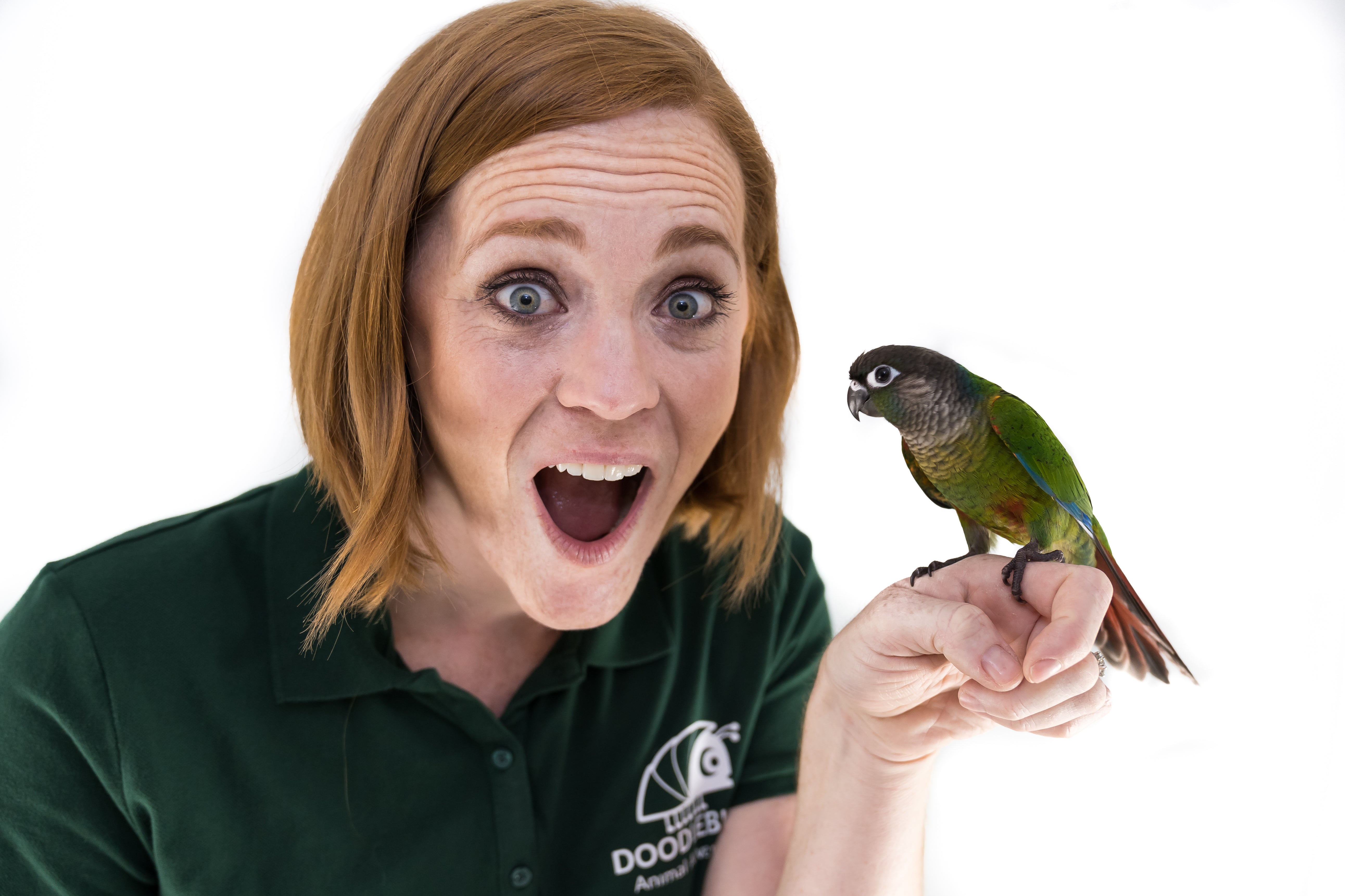 Doodlebug Animal Adventures, Cultivating Curiosity For Wildlife ...