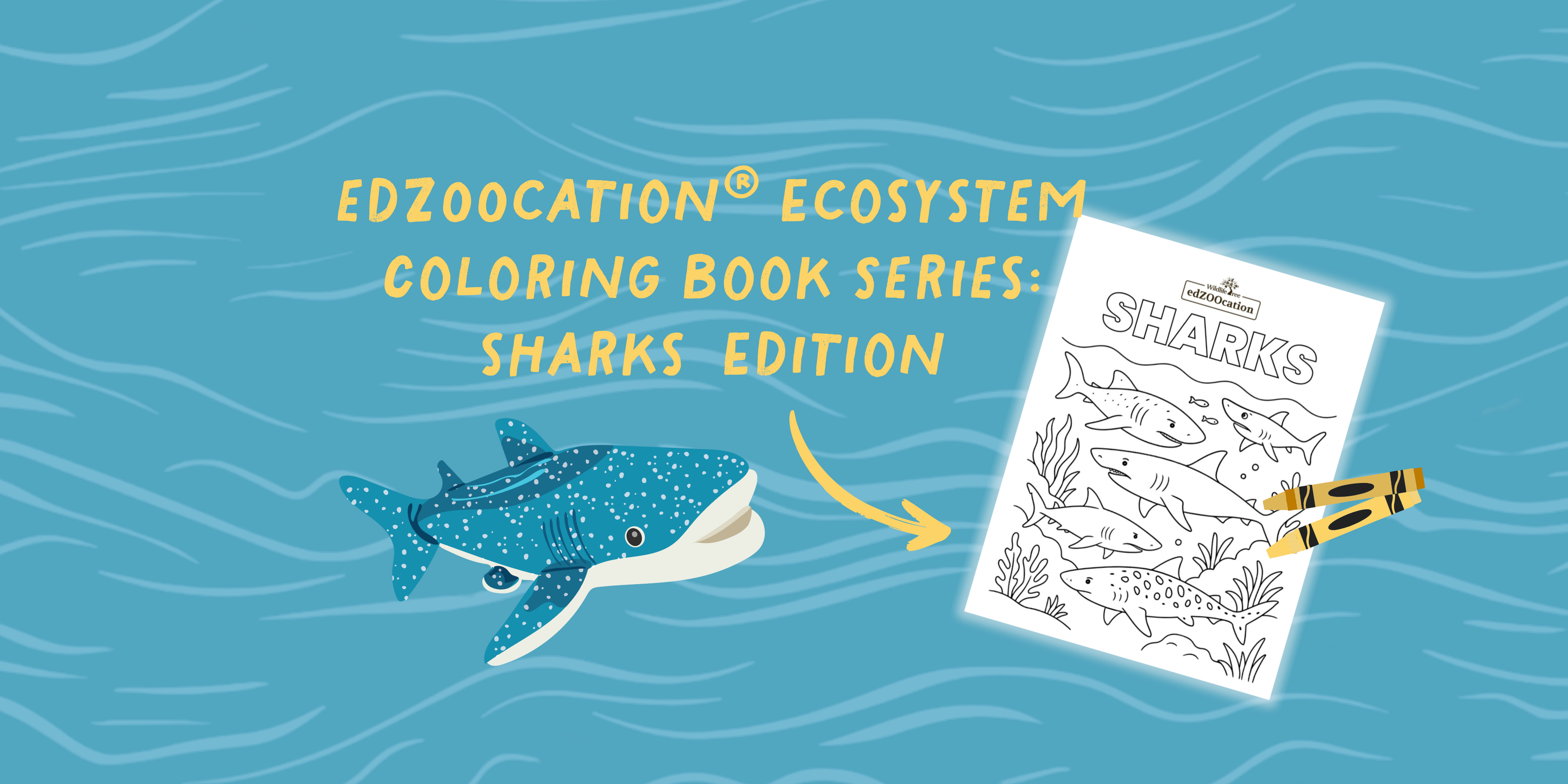 Make a Splash with the edZOOcation® Ecosystem Coloring Book Series: Sh