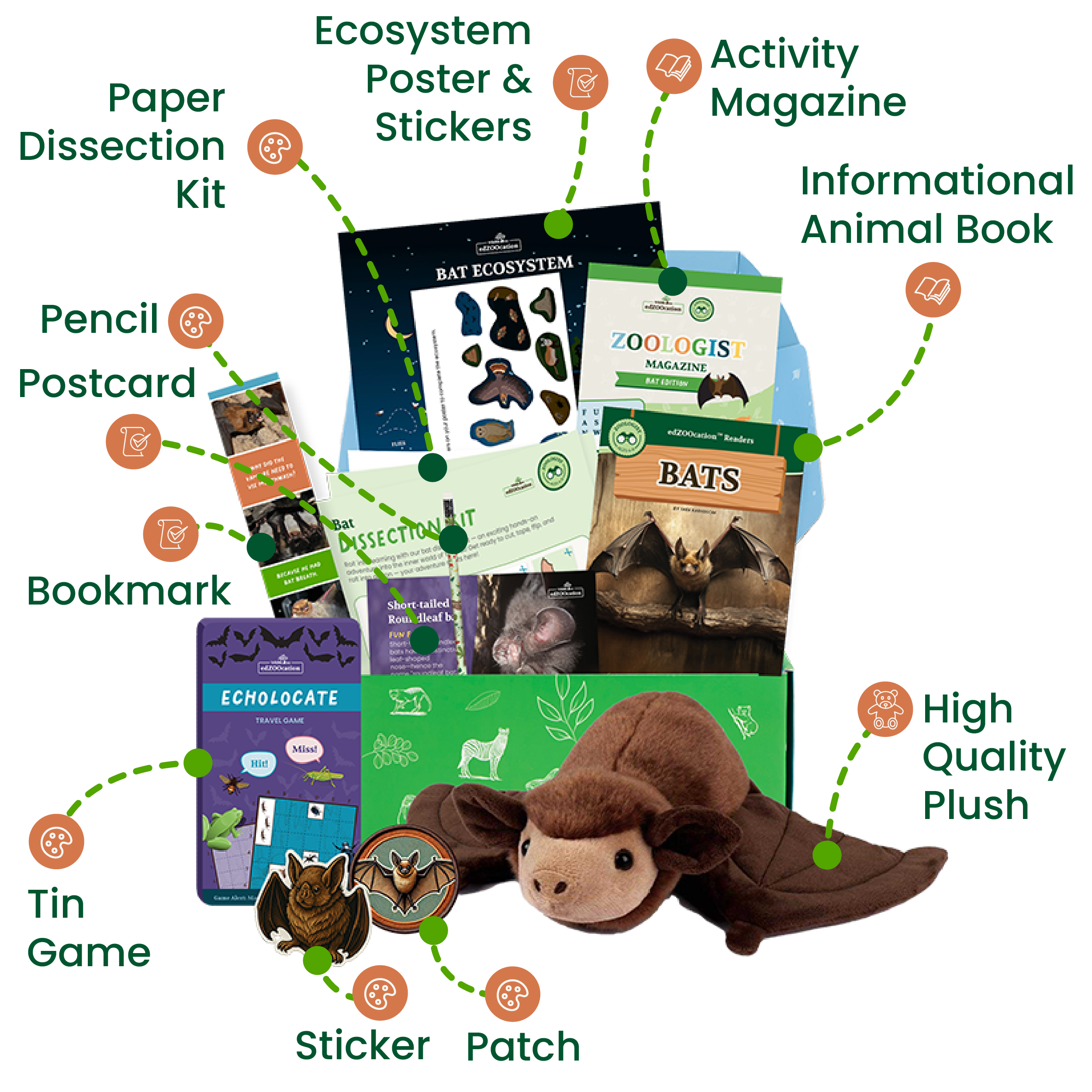 edZOOcation Animal Education Monthly Subscription Box by Wildlife Tree