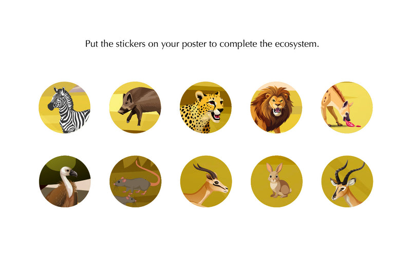 Ecosystem Poster w/ Stickers: Cheetah – edZOOcation