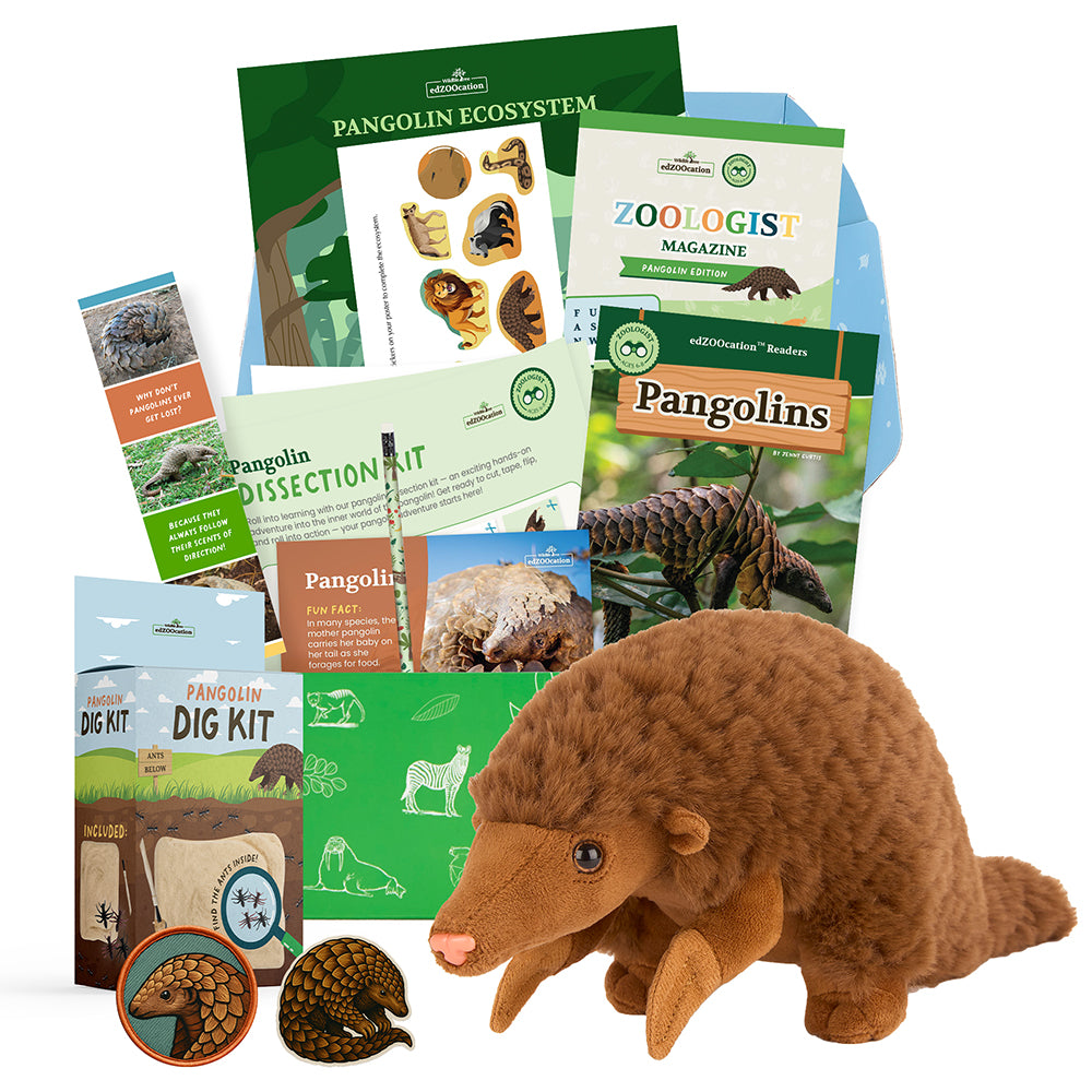 Pangolin Stuffed Animal edZOOcation Zoologist Box (Ages 6-8)