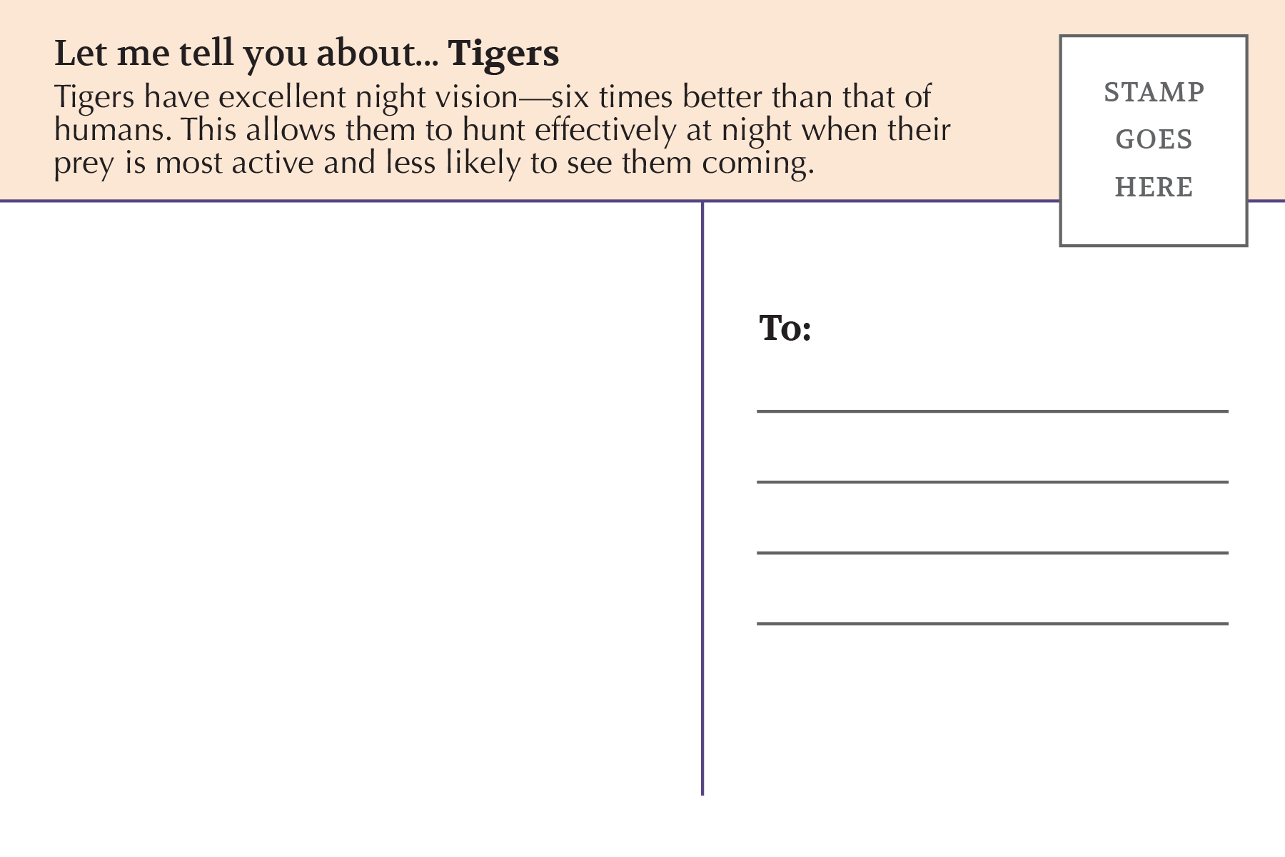 Postcard: Tiger – edZOOcation