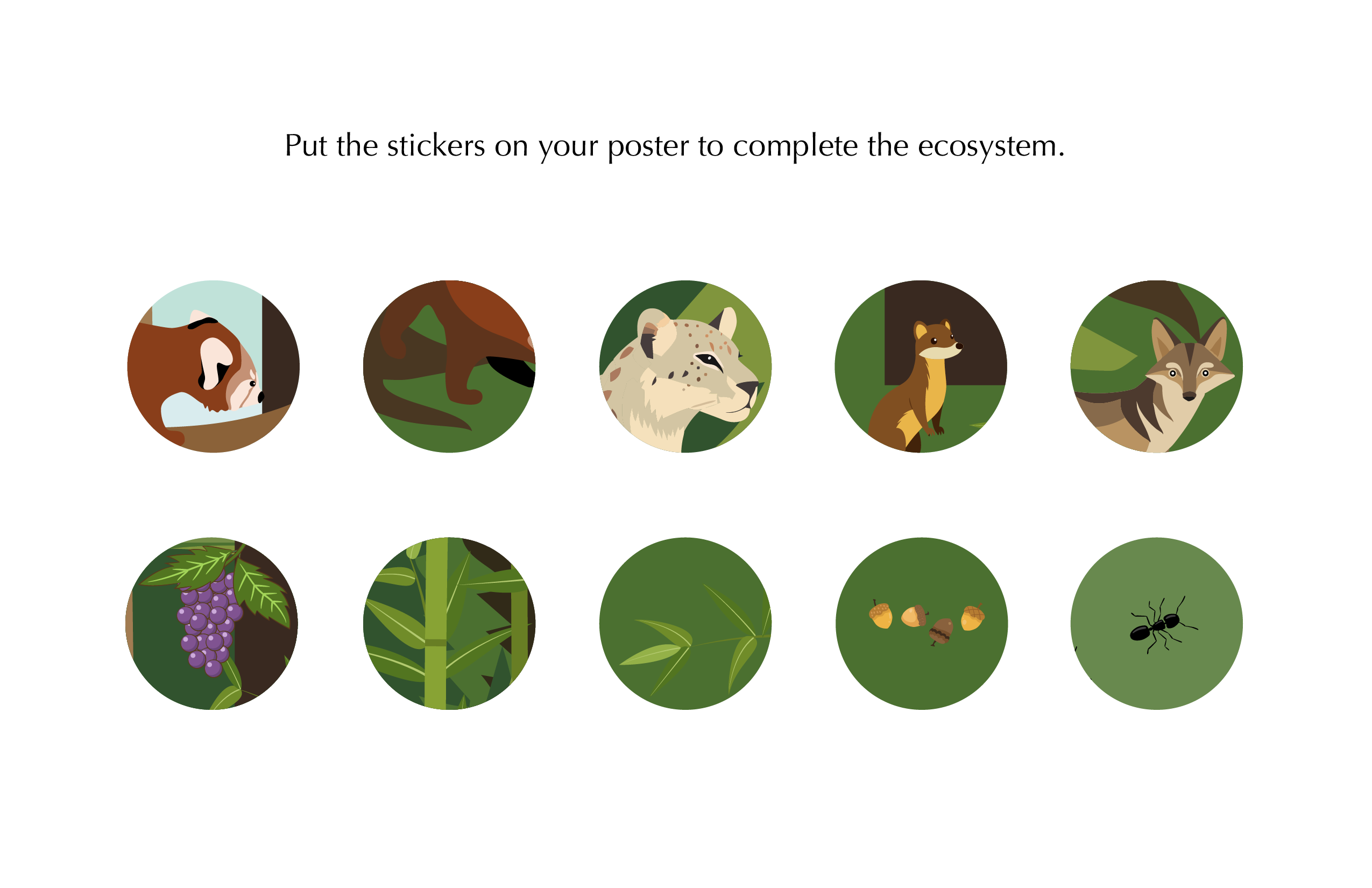 Ecosystem Poster w/ Stickers: Red Panda – edZOOcation