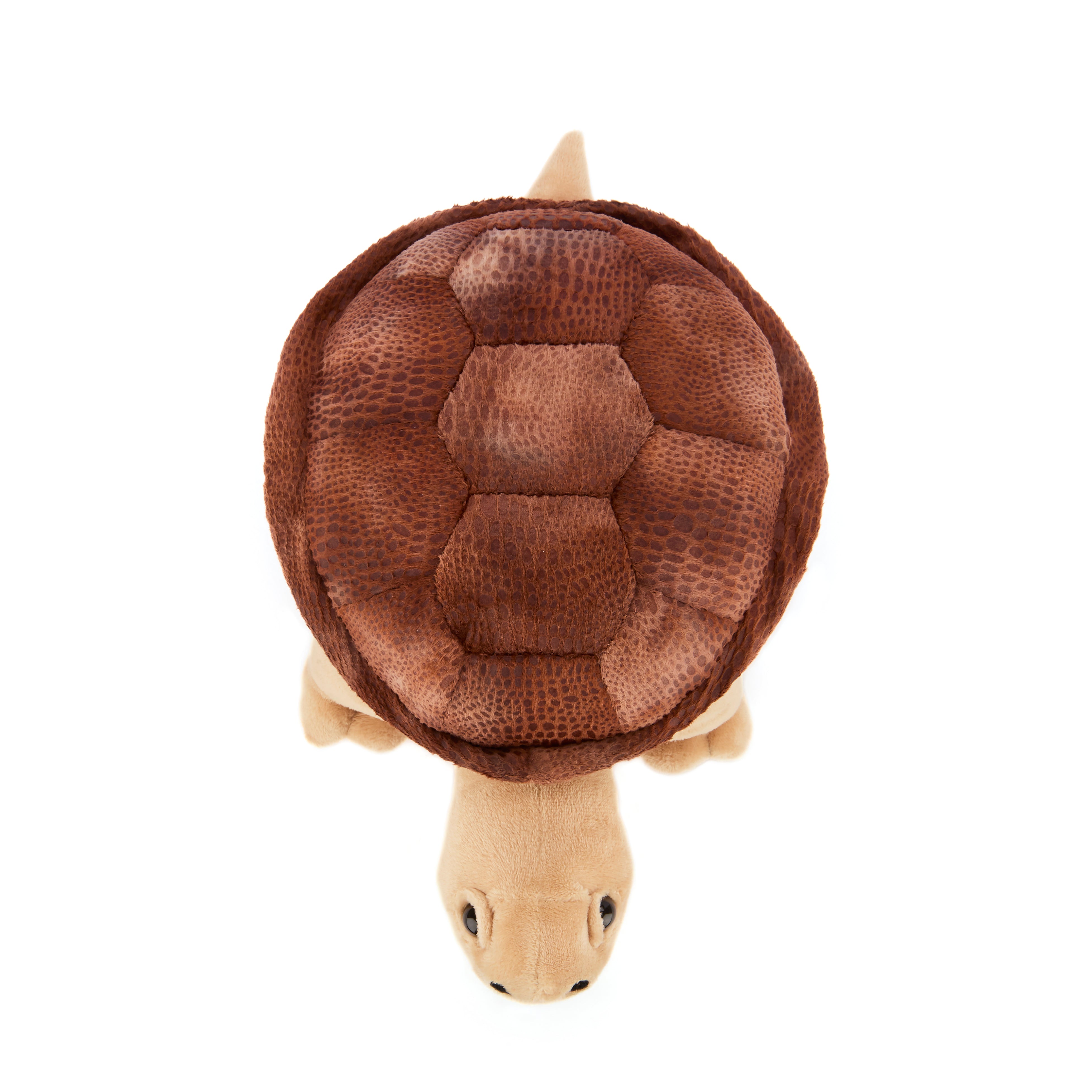 12" Plush Tortoise Stuffed Animal – edZOOcation