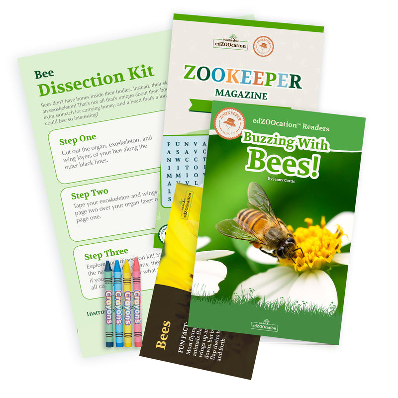 edZOOcation™ Animal Education Subscription Box - Zookeeper (Age 3-5) - Monthly Box