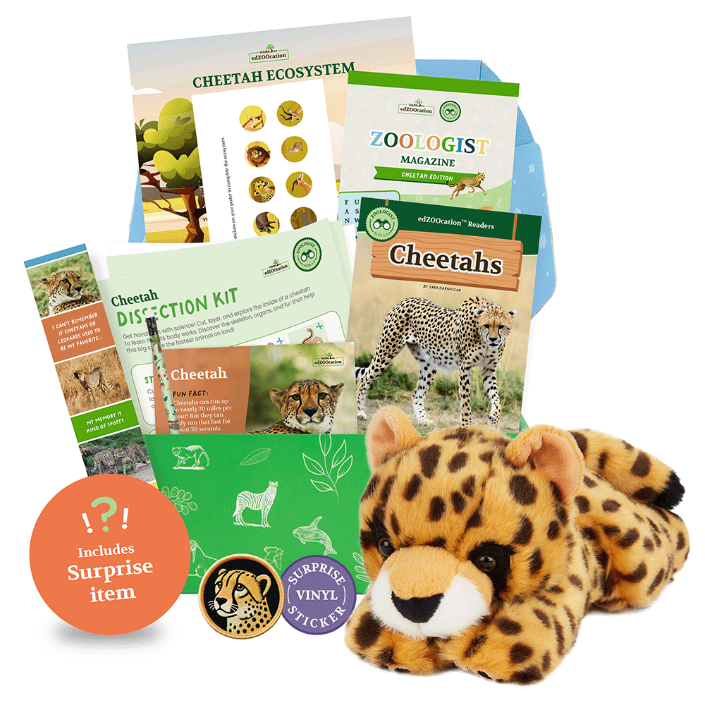 edZOOcation Animal Education Monthly Subscription Box by Wildlife Tree