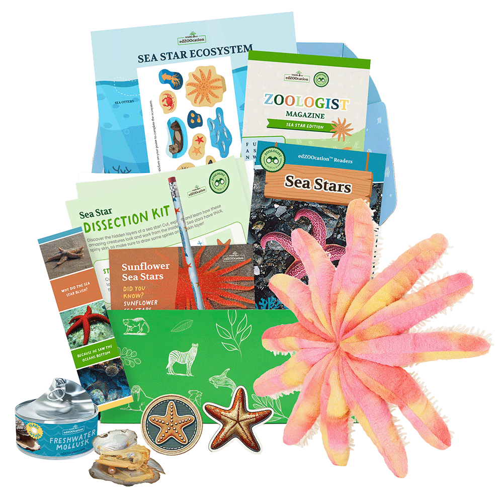 edZOOcation Animal Education Monthly Subscription Box by Wildlife Tree