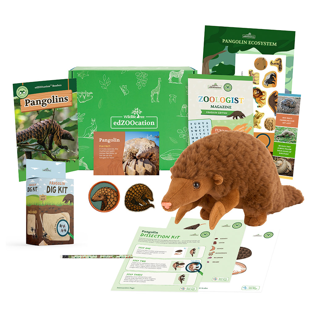 edZOOcation Animal Education Monthly Subscription Box by Wildlife Tree