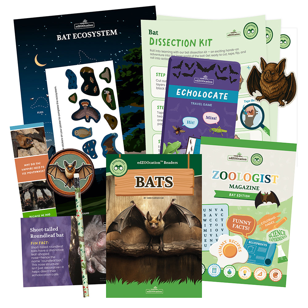 edZOOcation Animal Education Monthly Subscription Box by Wildlife Tree