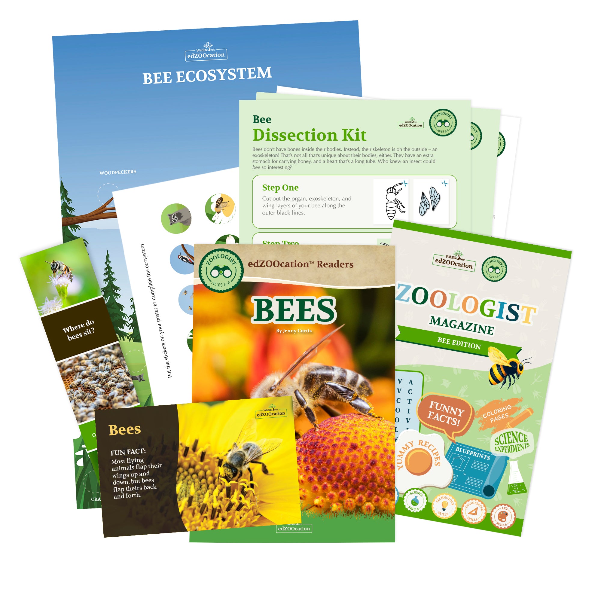 edZOOcation Animal Education Monthly Subscription Box by Wildlife Tree